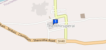 Arulmigu Sri Makara Nedunkulai Kaathar Perumal Temple (nava thirupathi ...