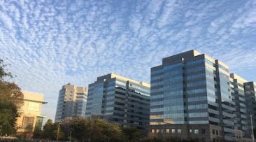 Tata Consultancy Services, INTERNATIONAL TECH PARK, 10th & 11th Floor ...